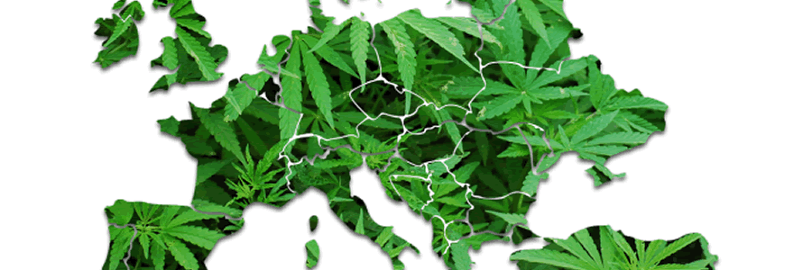 Pharmadrug Ready To Become Reference In European Cannabis Market ...