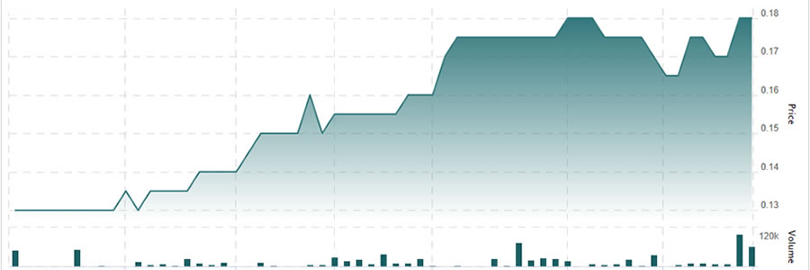 Gatekeeper Systems Still On Track For Outstanding 2020 - Smallcaps ...