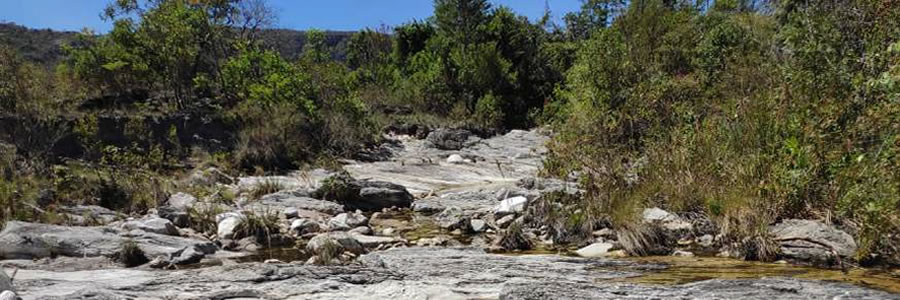 Jupiter Gold Advances Towards Operating A Lucrative And Low Capex ...