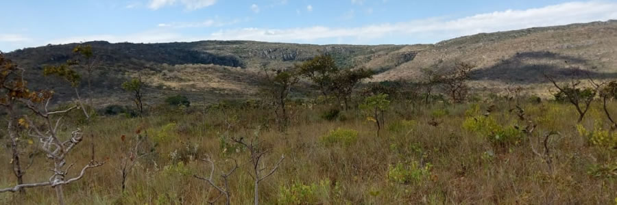 Significant Early Revenue Potential For Jupiter Gold - Smallcaps ...